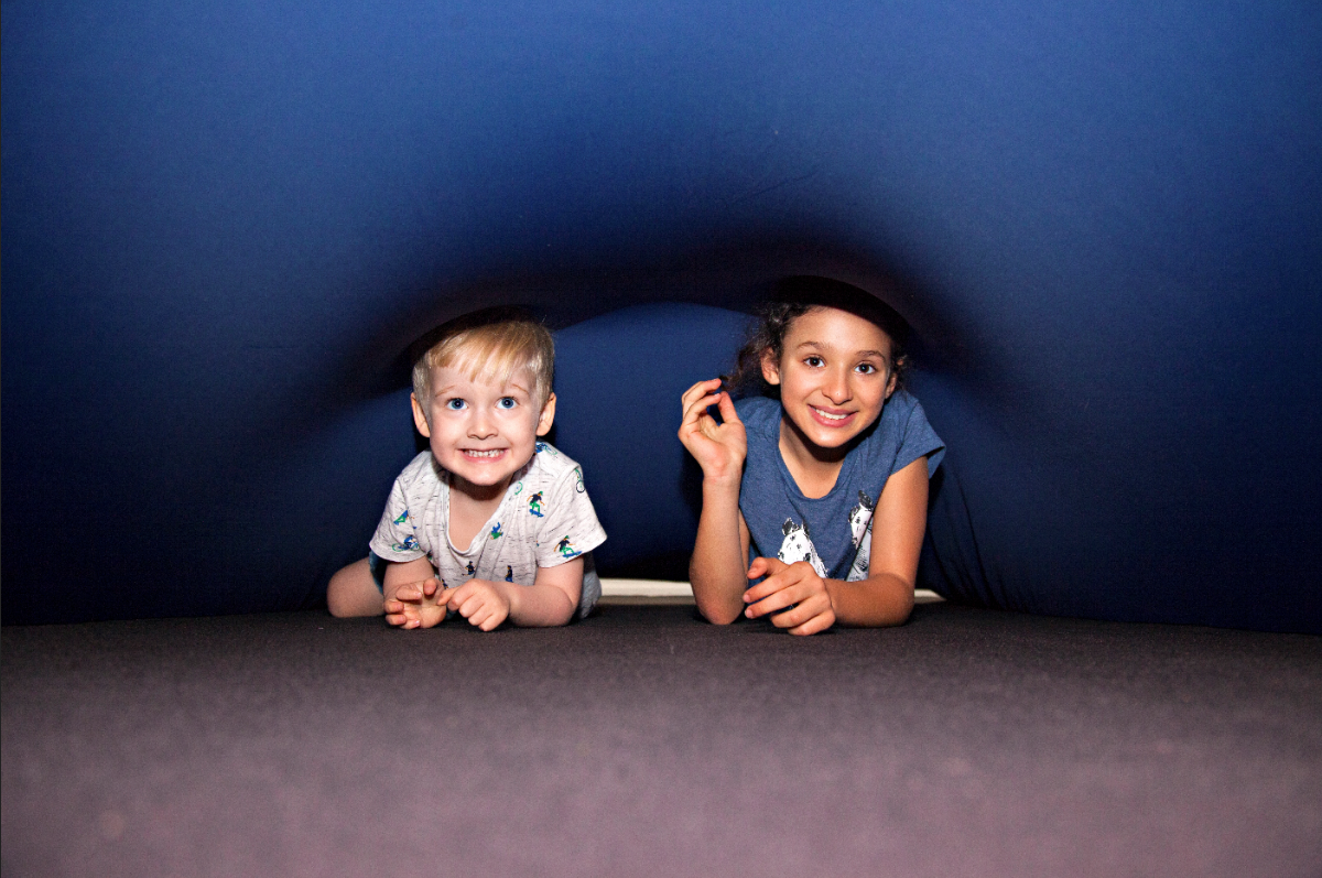 My Burrow - The Wombat Sensory Tool | Your Capability Store